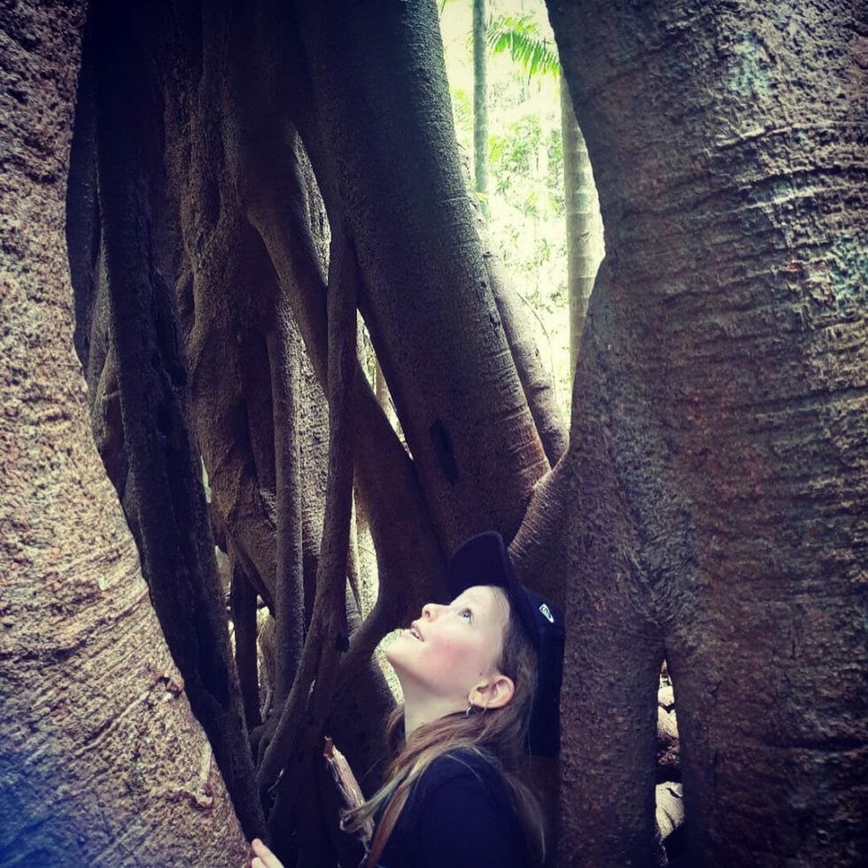 Bushwalking with Kids - Burleigh to Byron Kids