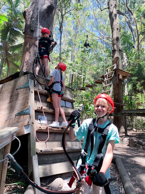 Treetop Challenge at Currumbin Wildlife Sanctuary - Burleigh to Byron ...